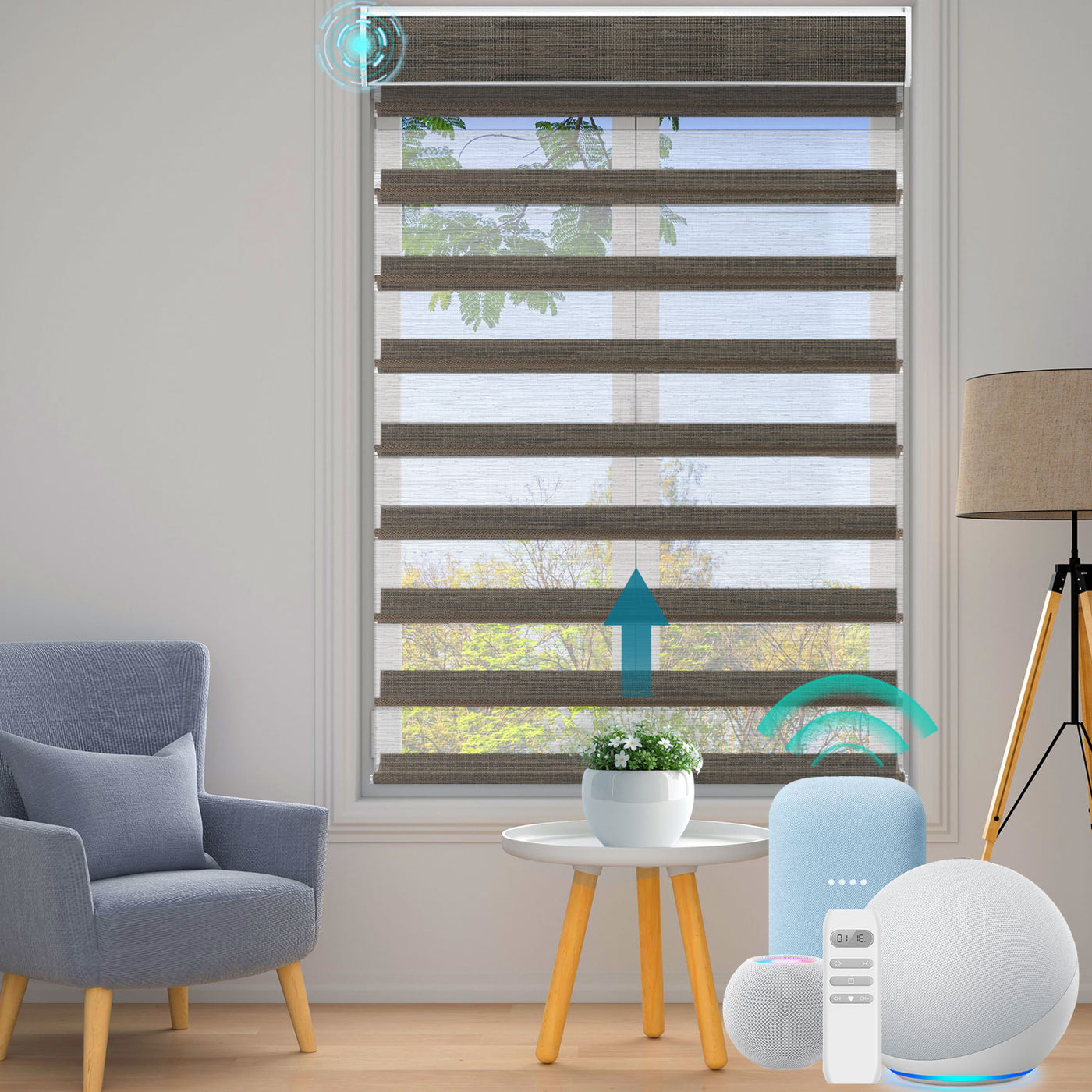 Shop Sheer Window Shades & Shangri-La Roller Shades and Blinds ...